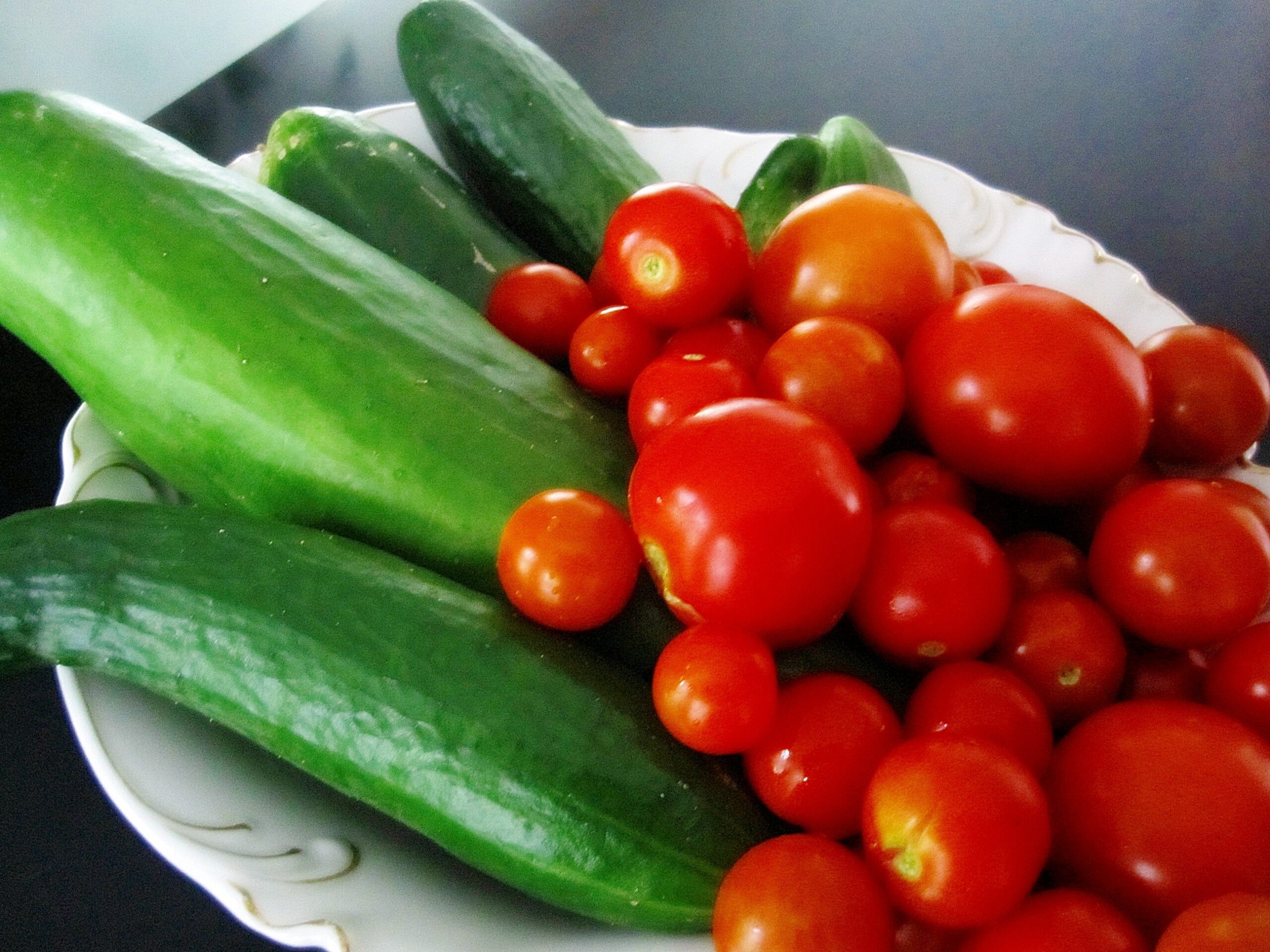 latest on the microfarm – All Year Garden